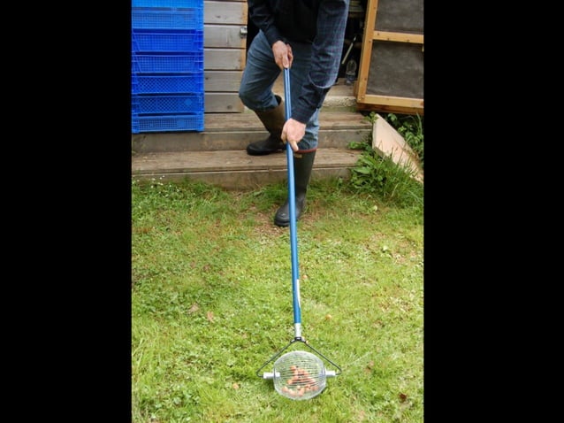 A Tour of Martin Crawford's Forest Garden | PDF