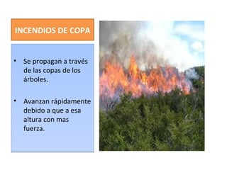 Martin incendio forestal ppt | PPT
