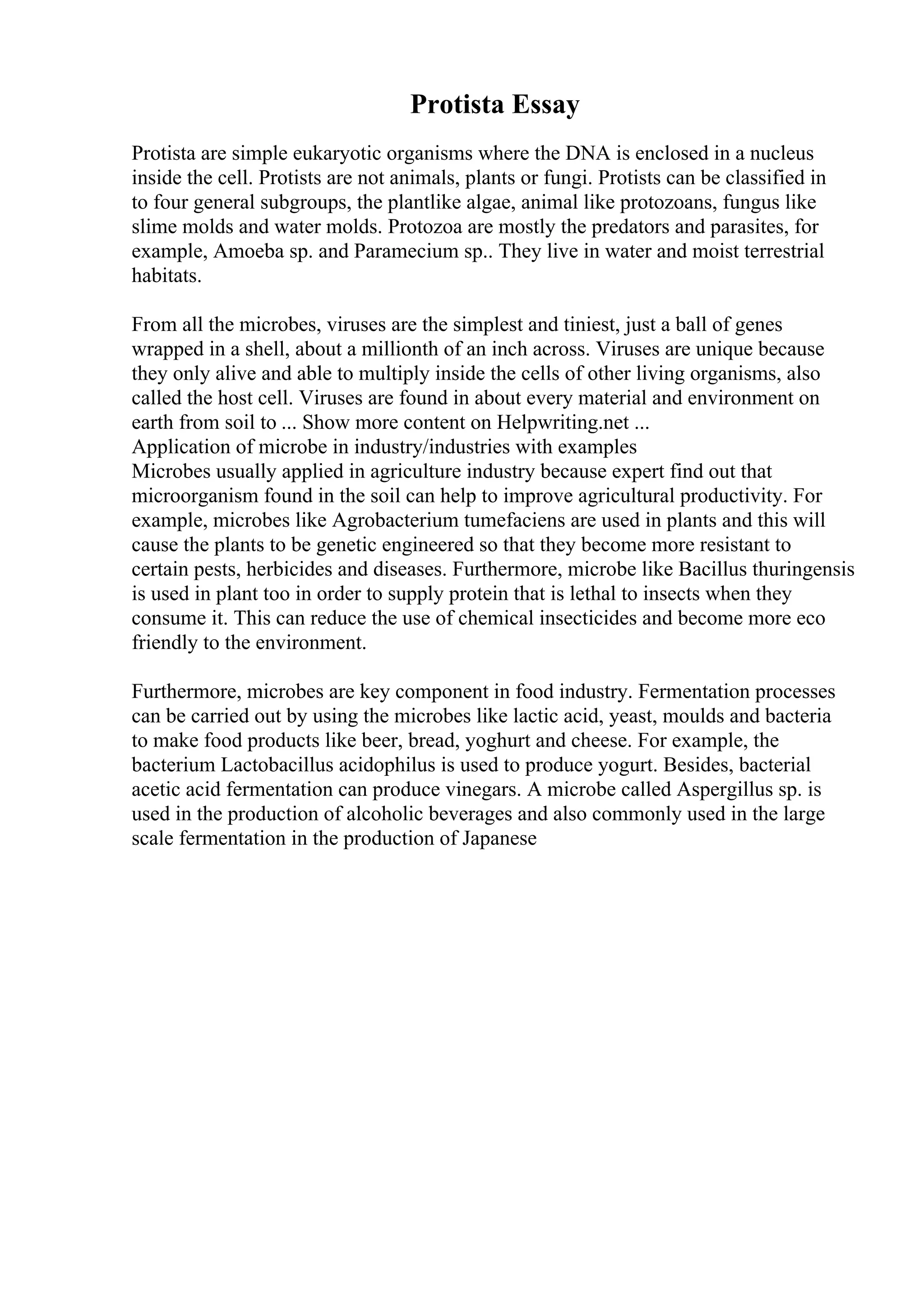 Martin Luther King I Have A Dream Analysis Essay | PDF