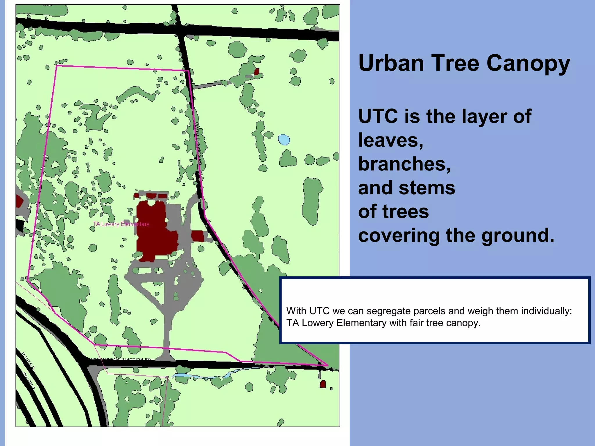 Martinsburg Urban Tree Inventory | PPT