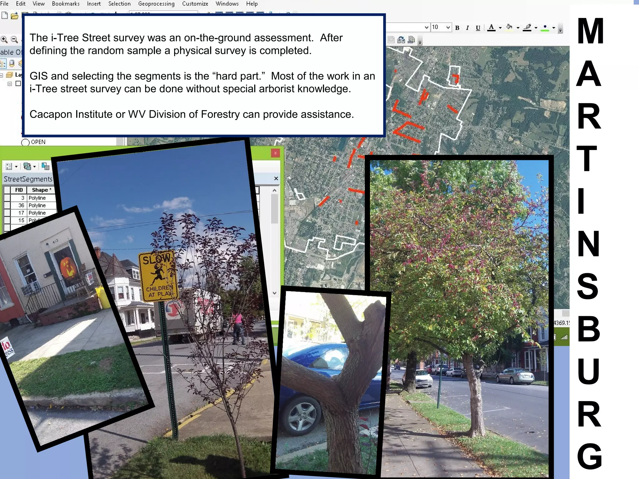 Martinsburg Urban Tree Inventory | PPT