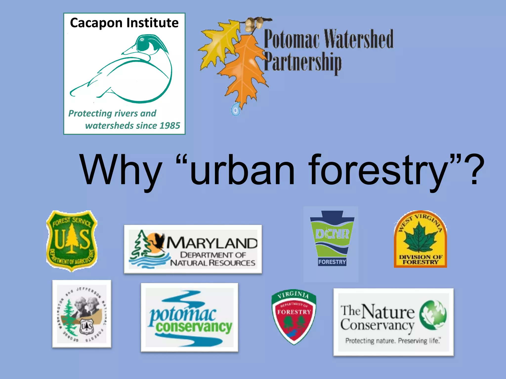 Martinsburg Urban Tree Inventory | PPT