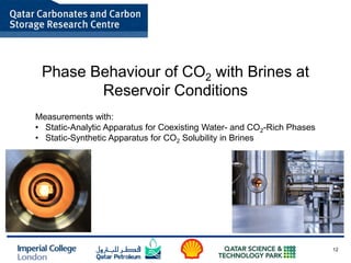 Carbon Dioxide Properties and the Role of Impurities in the Subsurface ...
