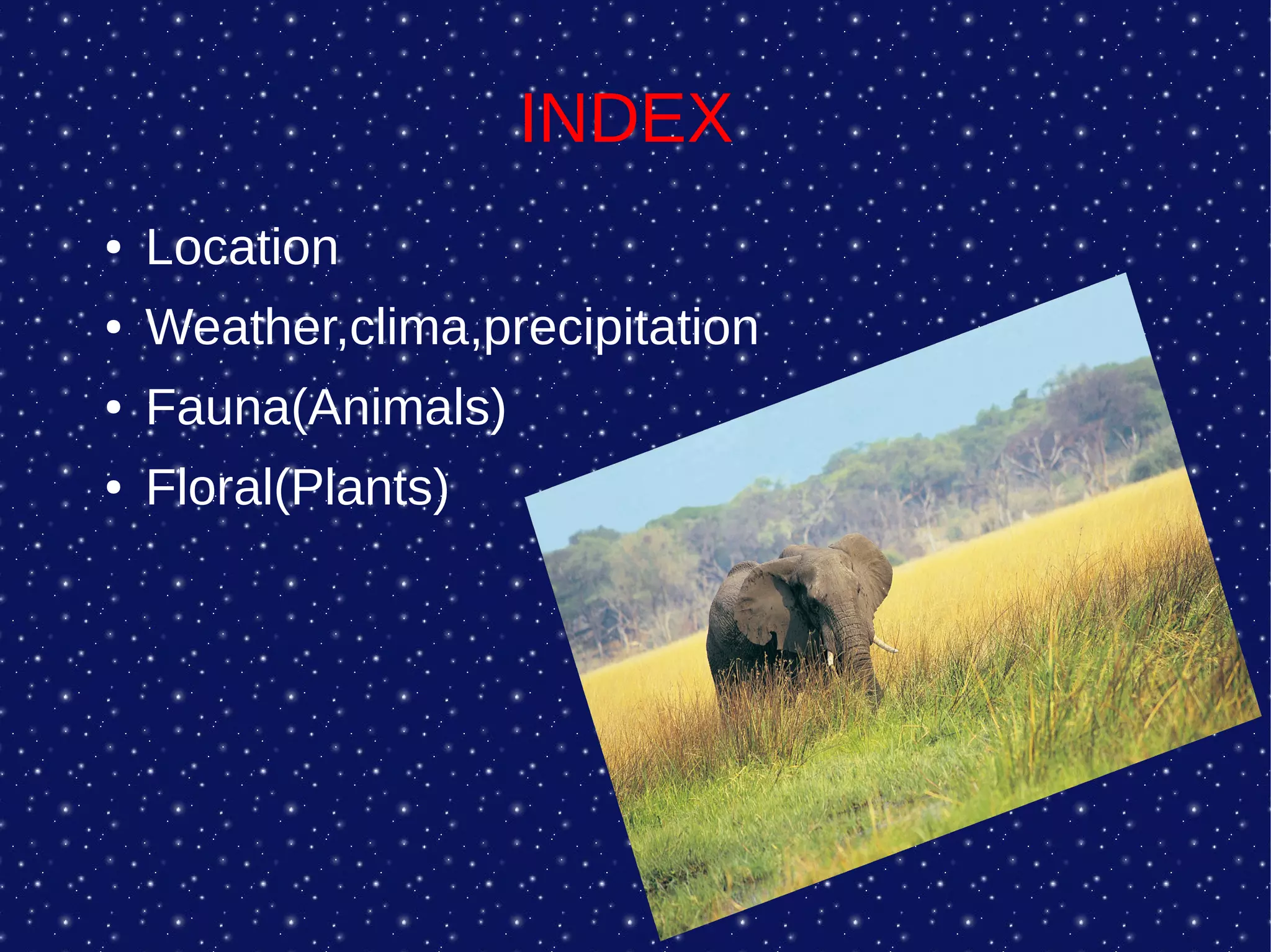 GRASSLAND BIOME | PPT