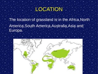 GRASSLAND BIOME | PPT