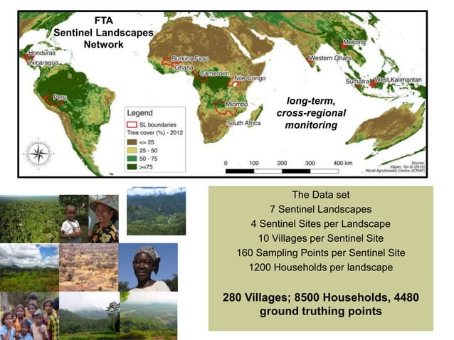 Forests, Trees and Agroforestry | PPTX | Agriculture | Industries