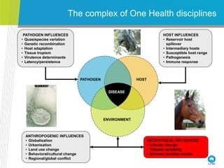 Taking One Health Forward: Managing Hendra, an Example of a True One ...