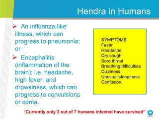 Taking One Health Forward: Managing Hendra, an Example of a True One ...