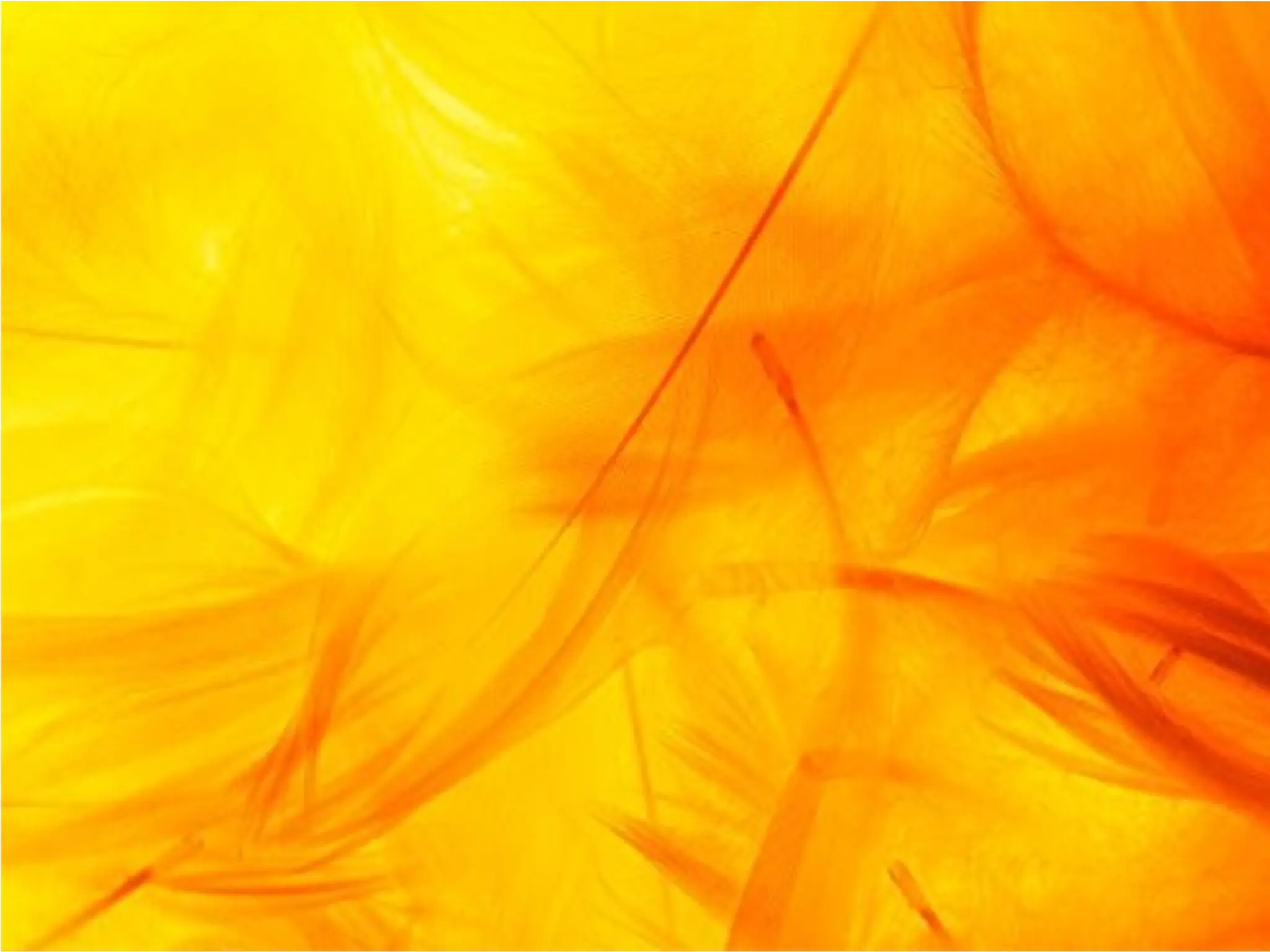 Martyrs of Portugal, - Verisimos, Maxima and Julia – (Swahili).pptx