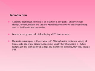 Marufa Rahman Moumi | PPT