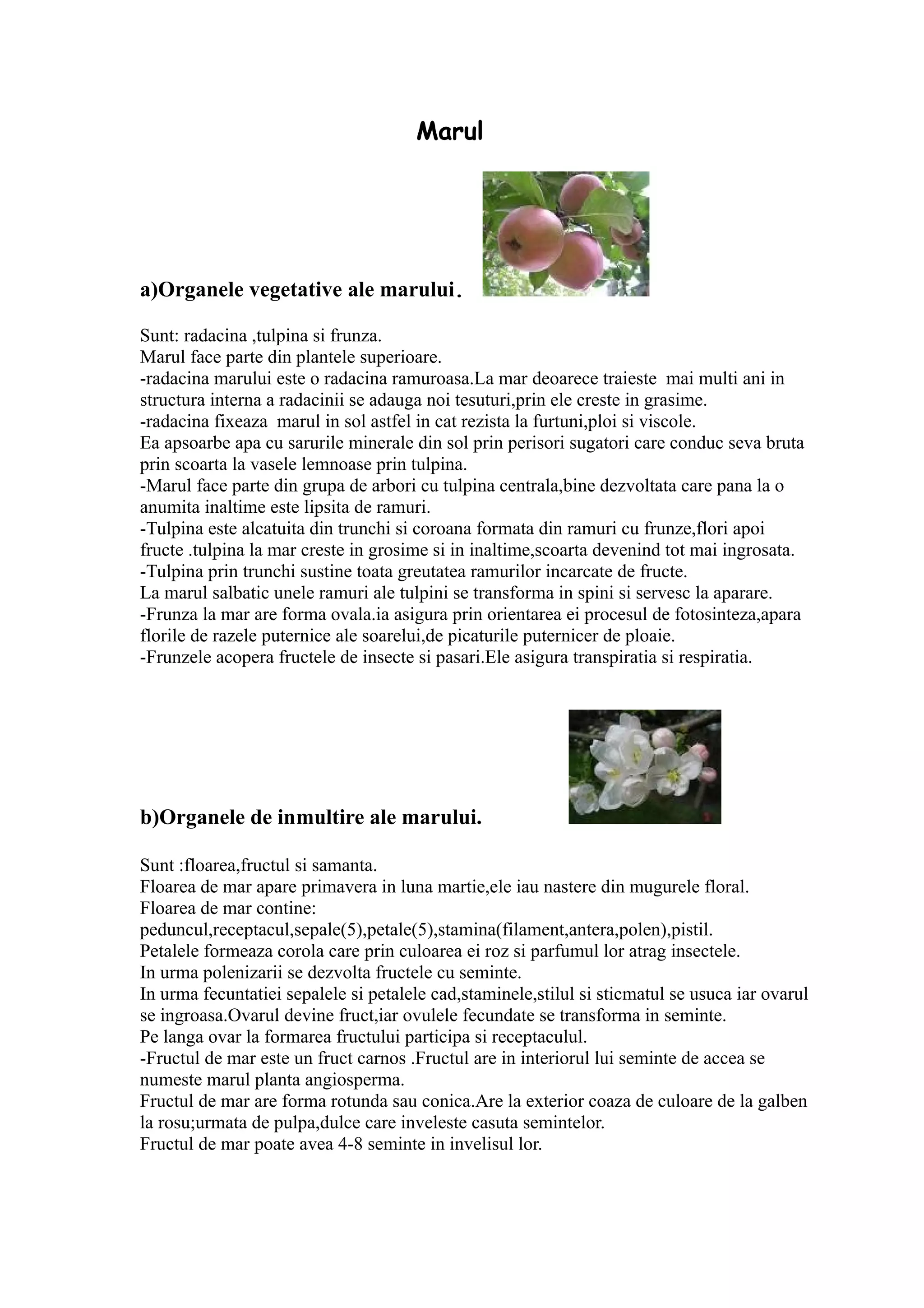 Marul biologie-clasa-a va | PDF