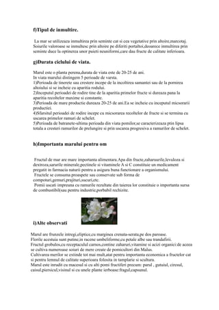 Marul biologie-clasa-a va | PDF