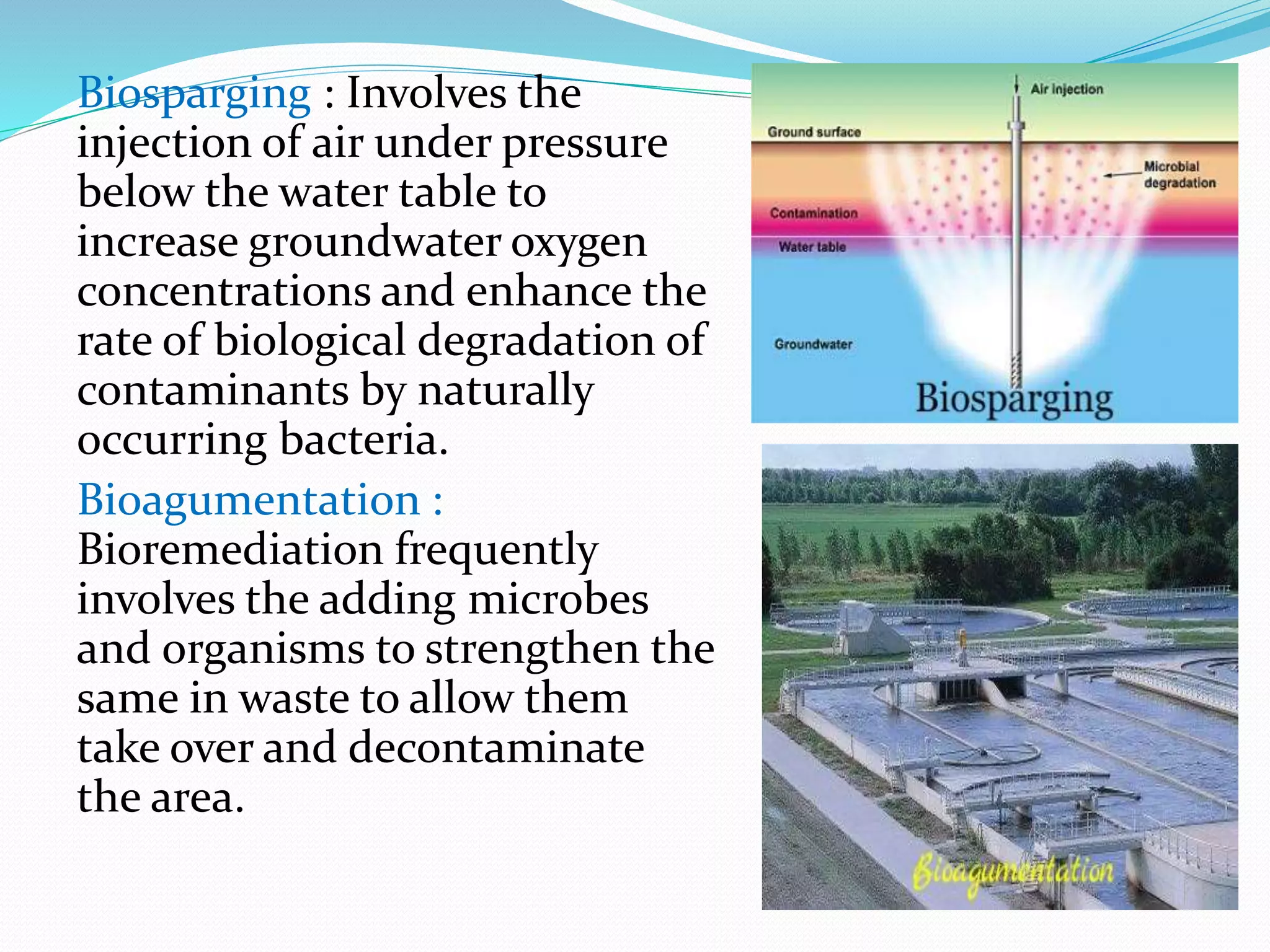 Bioremediation. | PPTX