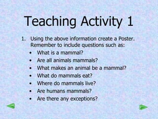 Marvelous Mammals | PPT