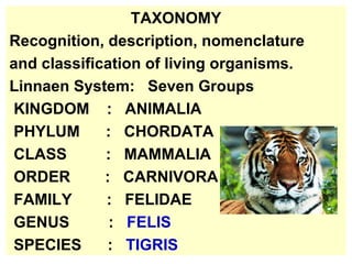 Marvels & Mysteries of Our Animal World - Part 1 | PPT