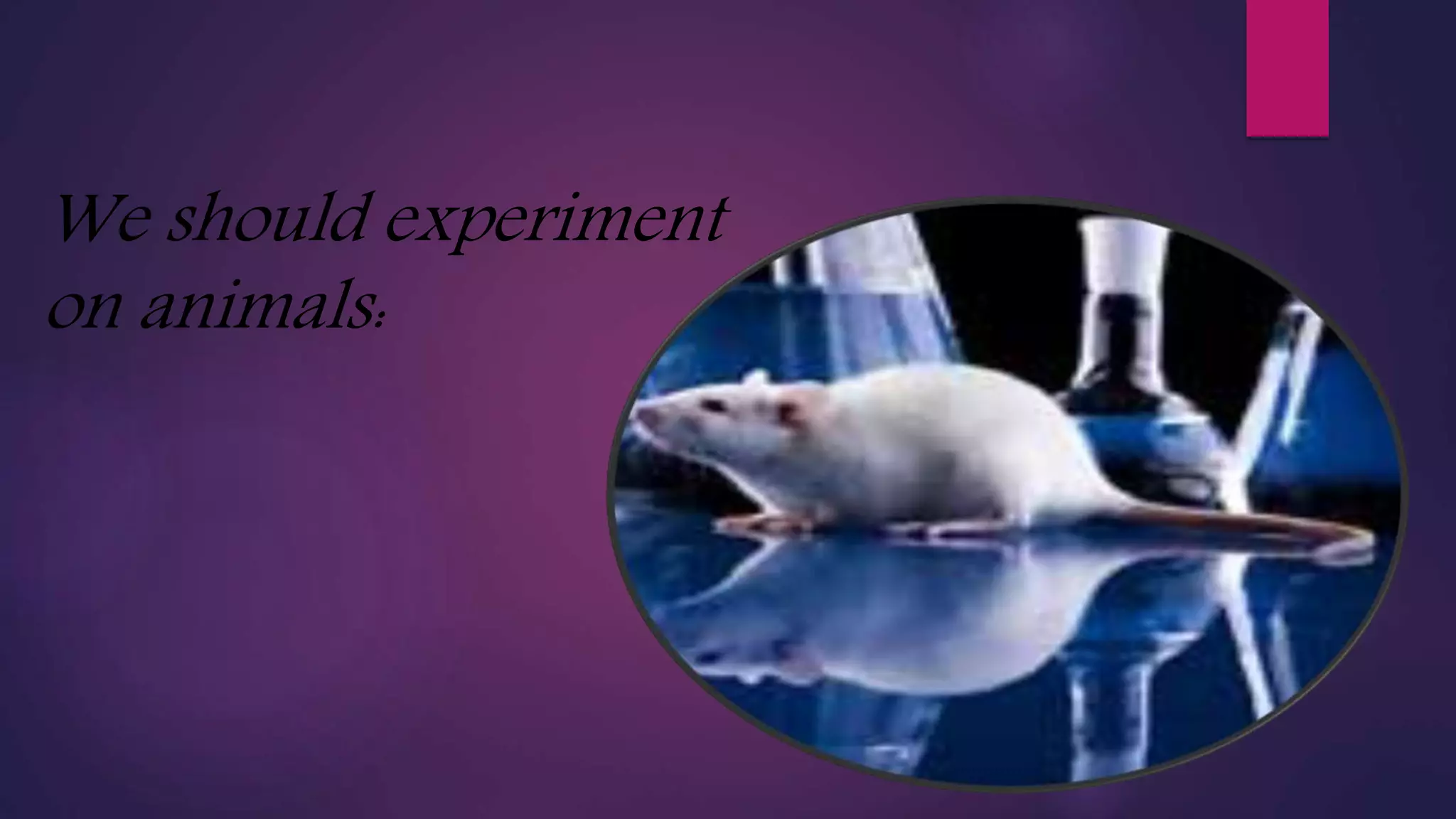 Animal experimentation | PPTX | Cancer | Diseases and Conditions