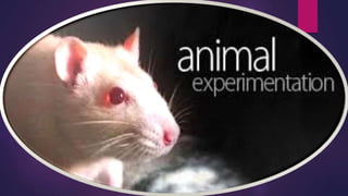 Animal experimentation | PPTX | Cancer | Diseases and Conditions