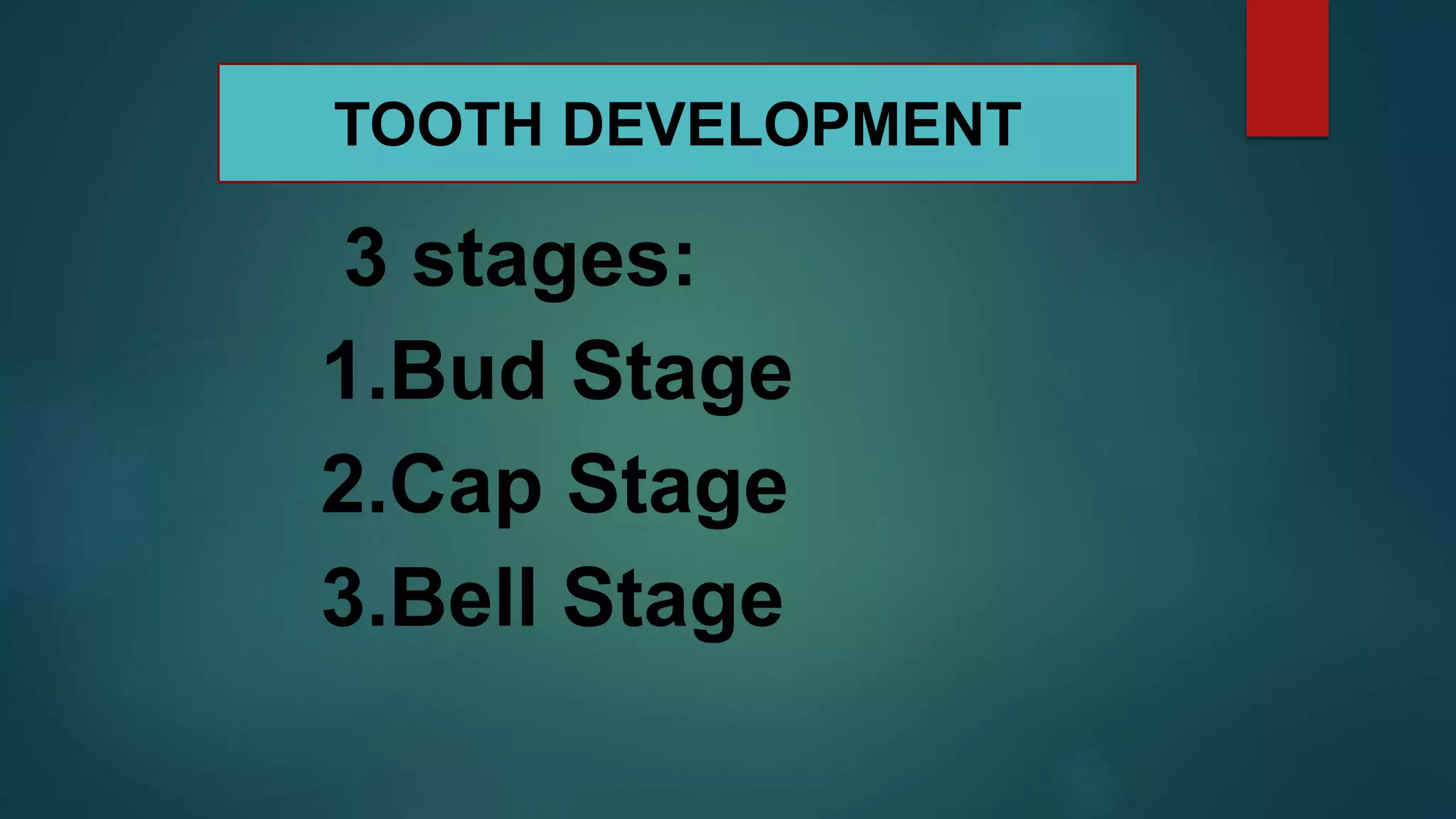 Tooth development cap stage | PPTX