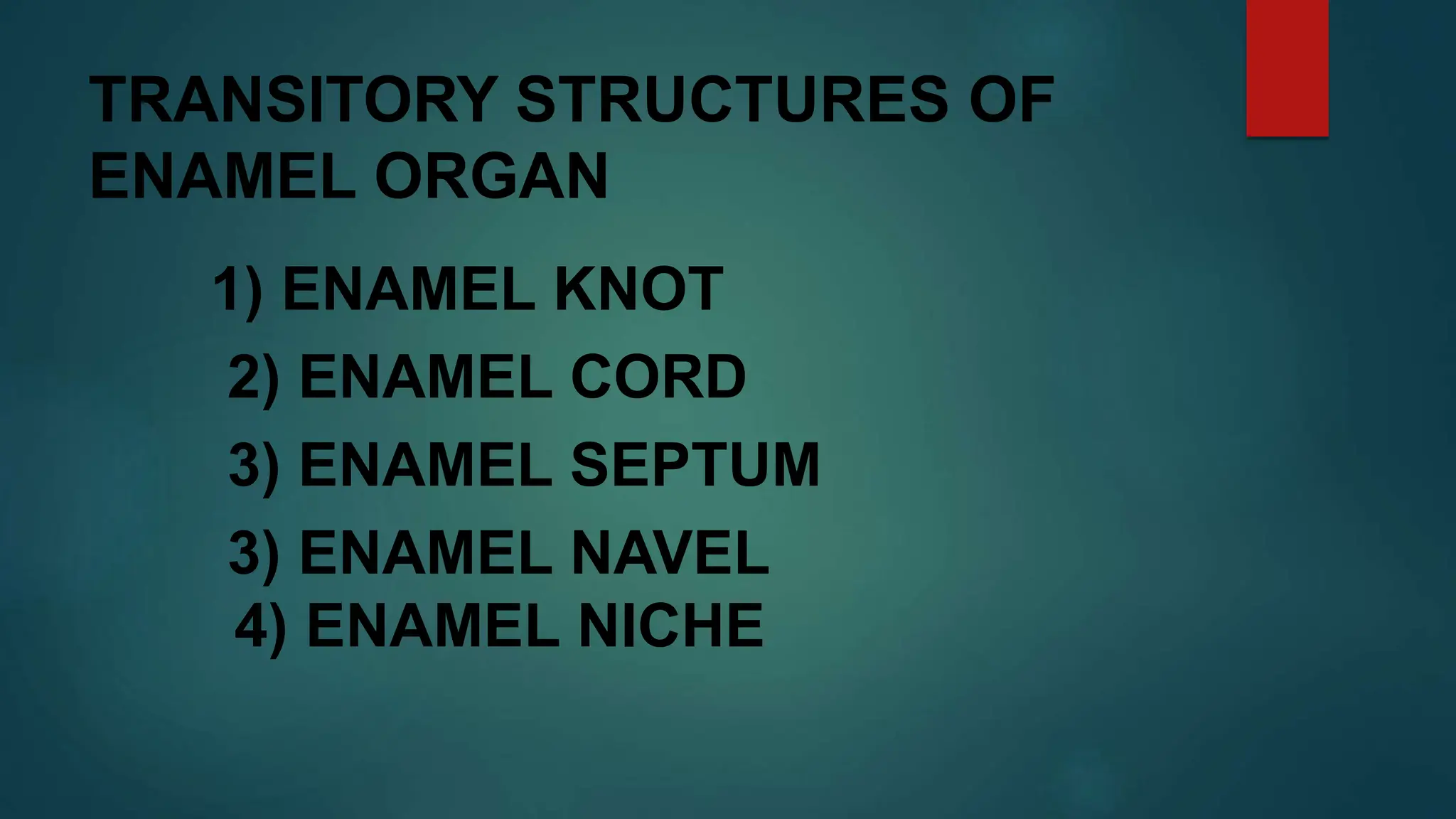 marwa tariq tooth development stages.pptx