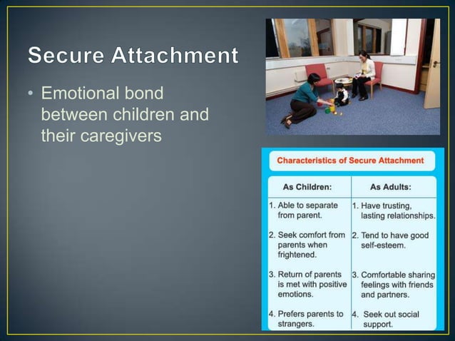 Mary Ainsworth Attachment Theory | PPTX