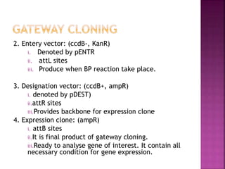 gateway cloning | PPTX