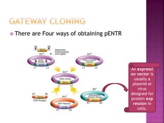 gateway cloning | PPT