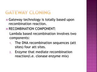 gateway cloning | PPT