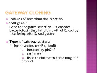 gateway cloning | PPTX