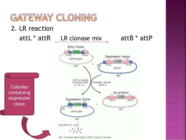 gateway cloning
