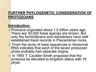 FURTHER PHYLOGENETIC CONSIDERATION OF PROTOZOANS | PPTX