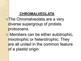 FURTHER PHYLOGENETIC CONSIDERATION OF PROTOZOANS | PPT