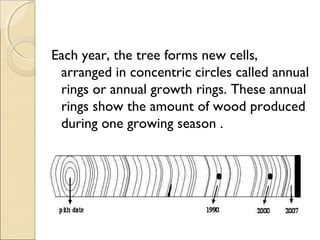tree ring analysis ( master chronology , Dendrochronology) | PPT