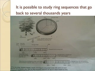 tree ring analysis ( master chronology , Dendrochronology) | PPT