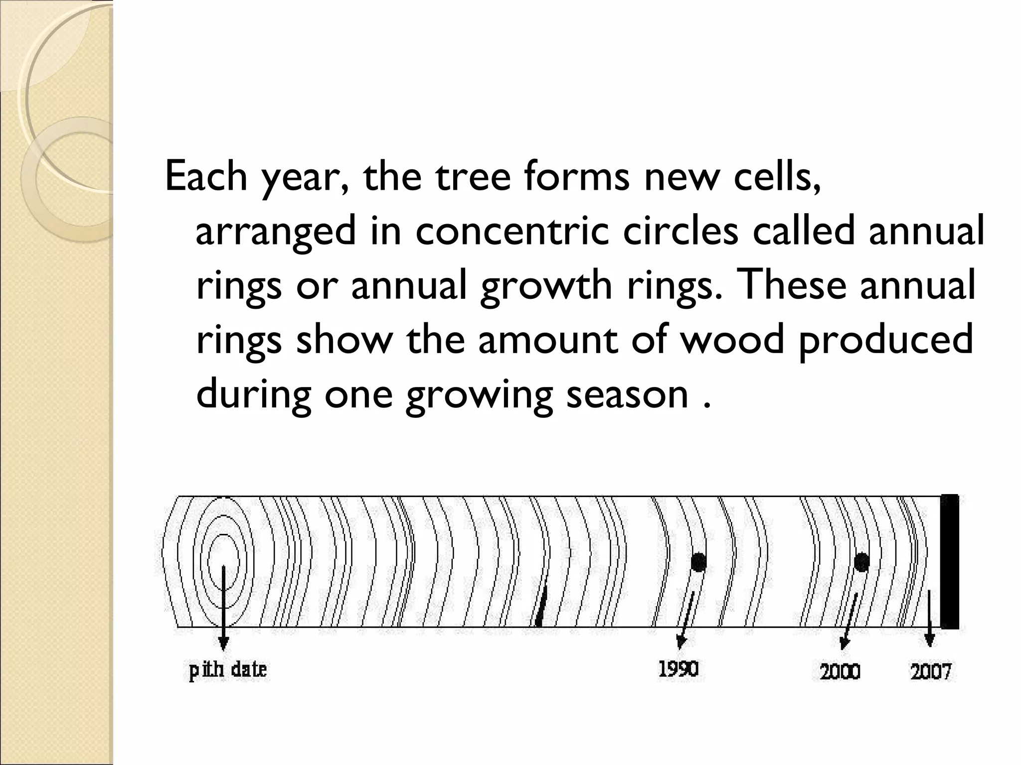 tree ring analysis | PPT