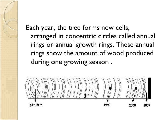 tree ring analysis