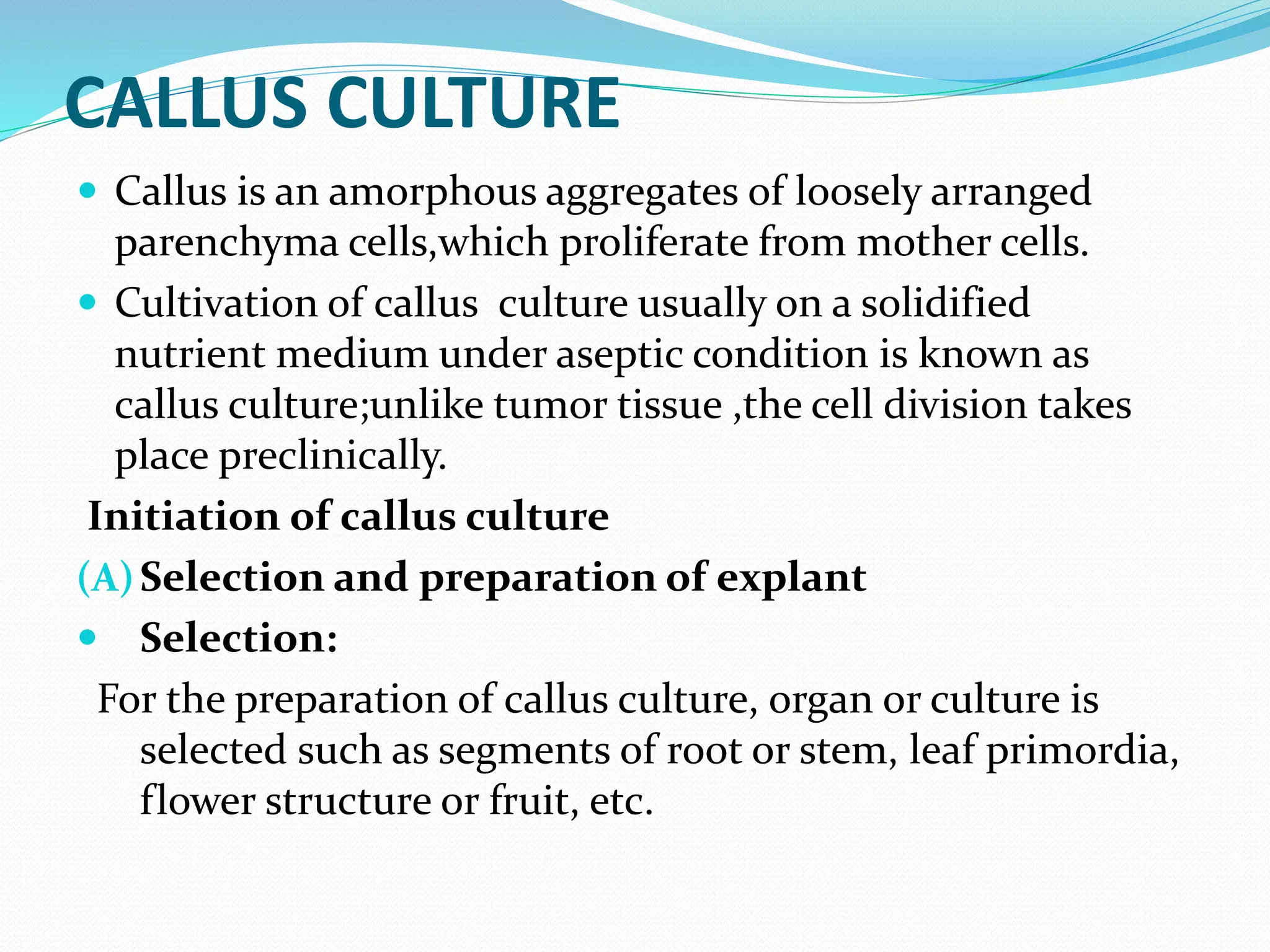growth and maintenence of plant tissue culture | PPTX