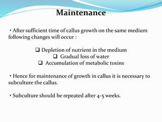 growth and maintenence of plant tissue culture | PPTX