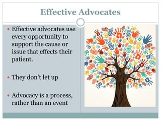 Mary Dawood Effective advocacy | PPTX
