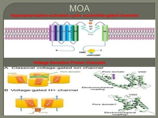 Ion channel RECEPTOR | PPTX
