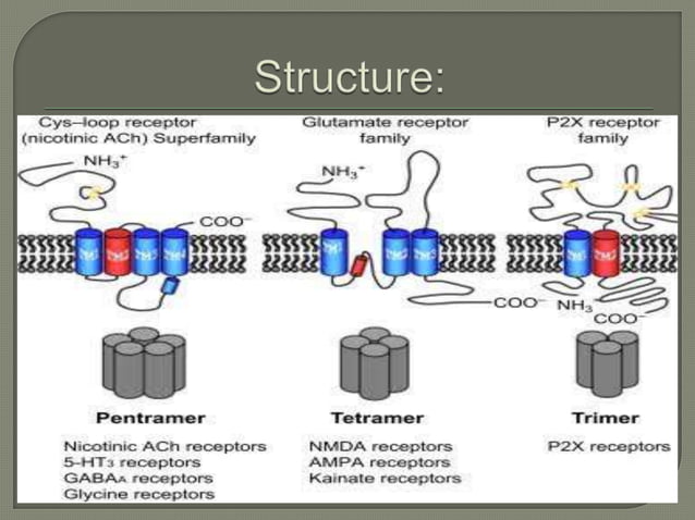 Ion channel RECEPTOR | PPTX