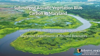 Submerged aquatic vegetation blue carbon in Maryland.pptx