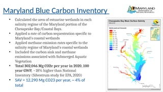 Submerged aquatic vegetation blue carbon in Maryland.pptx