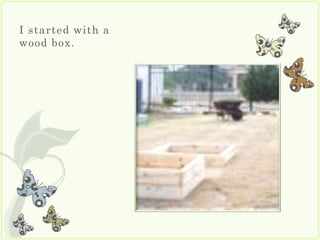 Mary, Mary, Quite Contrary | PPTX