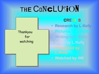 Mary Mother of Jesus by Lachlan Kelly | PPTX | Christianity | Religion ...