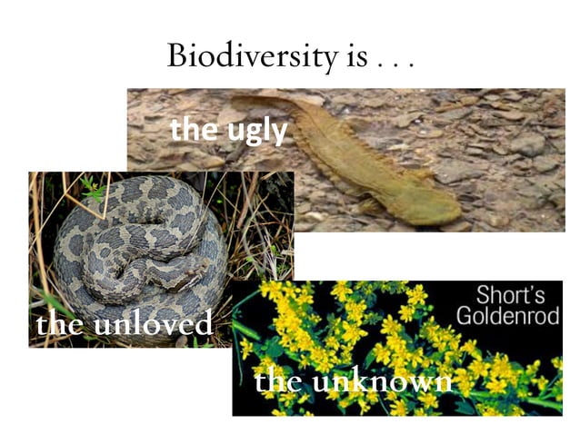 Biodiversity in Indiana - Sustainable Natural Resources Task Force 11 ...