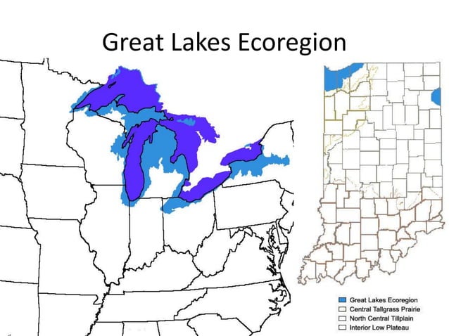 Biodiversity in Indiana - Sustainable Natural Resources Task Force 11 ...