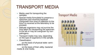 Mary theresa maintenace and transport of cultures [autosaved] | PPTX
