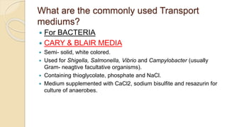 Mary theresa maintenace and transport of cultures [autosaved] | PPTX
