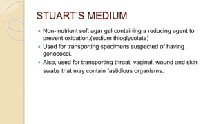 Mary theresa maintenace and transport of cultures [autosaved] | PPTX