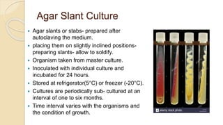 Mary theresa maintenace and transport of cultures [autosaved] | PPTX